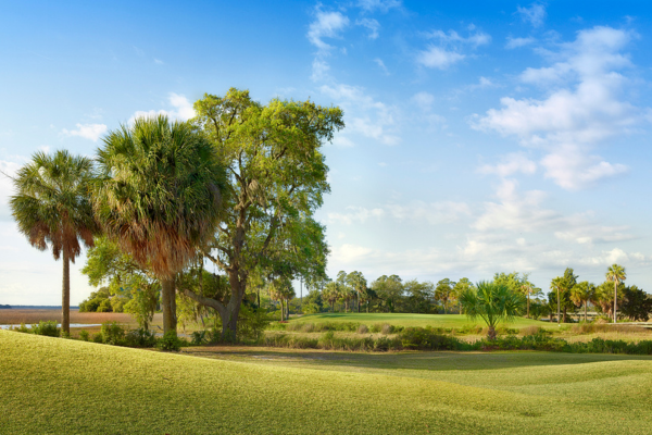 Hilton Head Golf Course | Old South Golf Links – Bluffton, SC