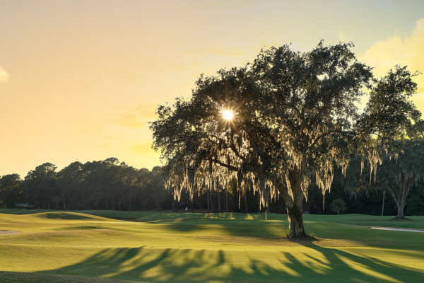 Hilton Head Golf Course | Old South Golf Links – Bluffton, SC