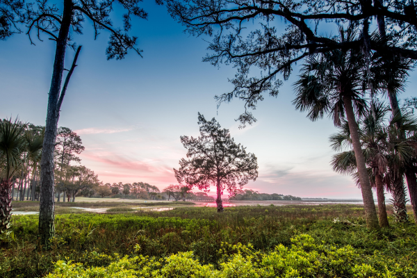 Hilton Head Golf Course | Old South Golf Links – Bluffton, SC